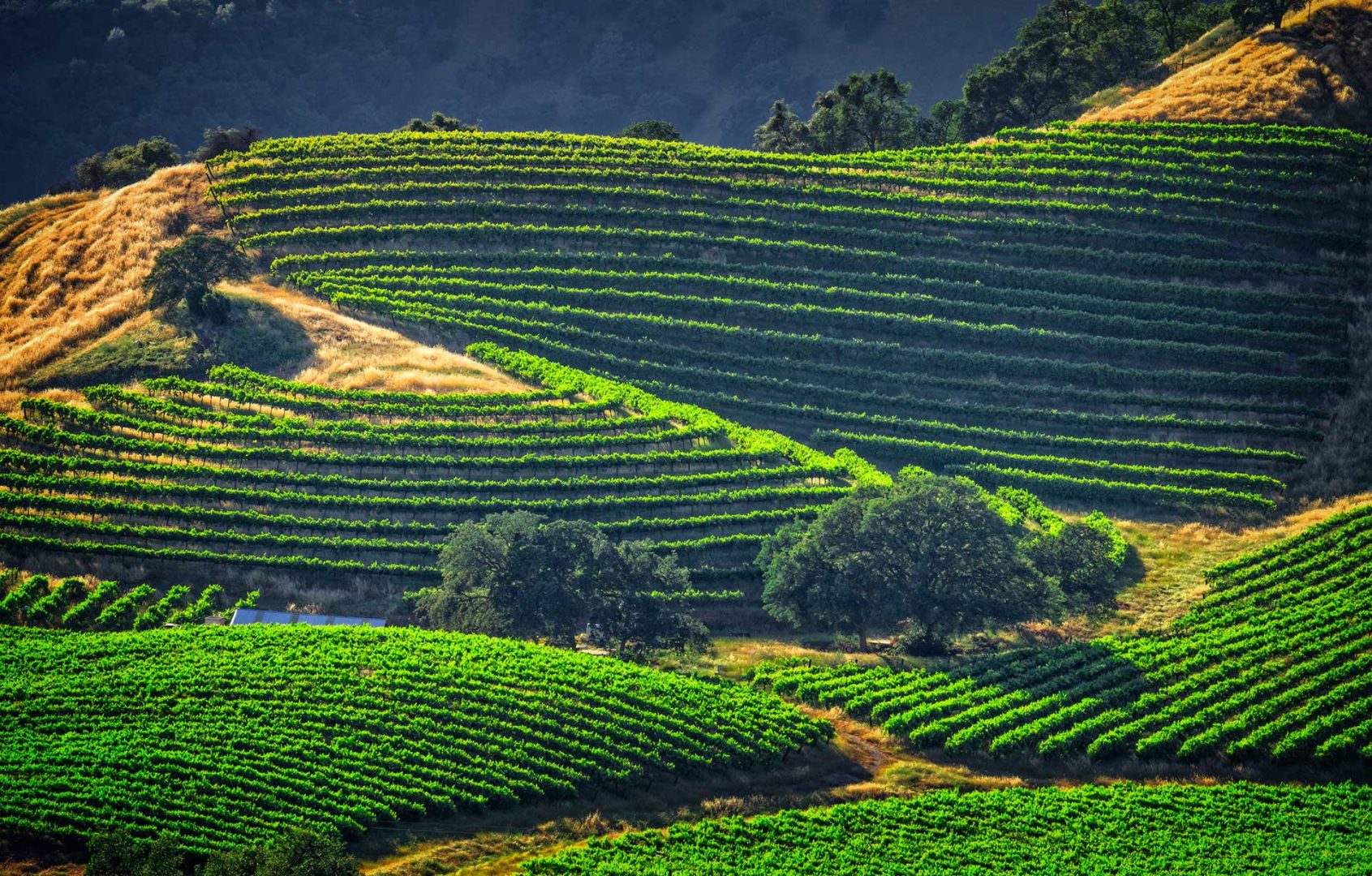 Gold Country - California's gold rush heritage region