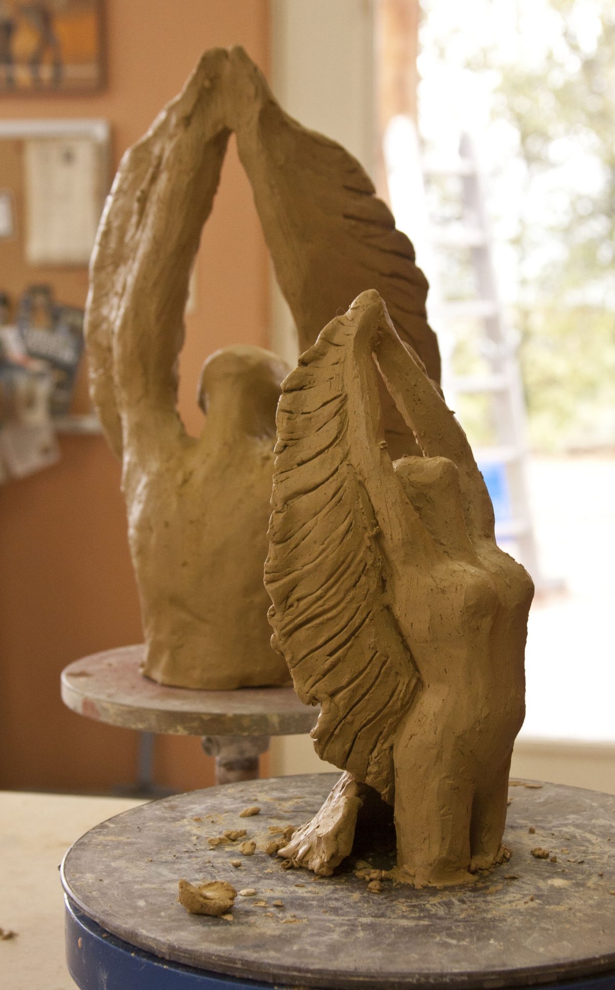 Discover Calaveras: An Art Gallery Guide