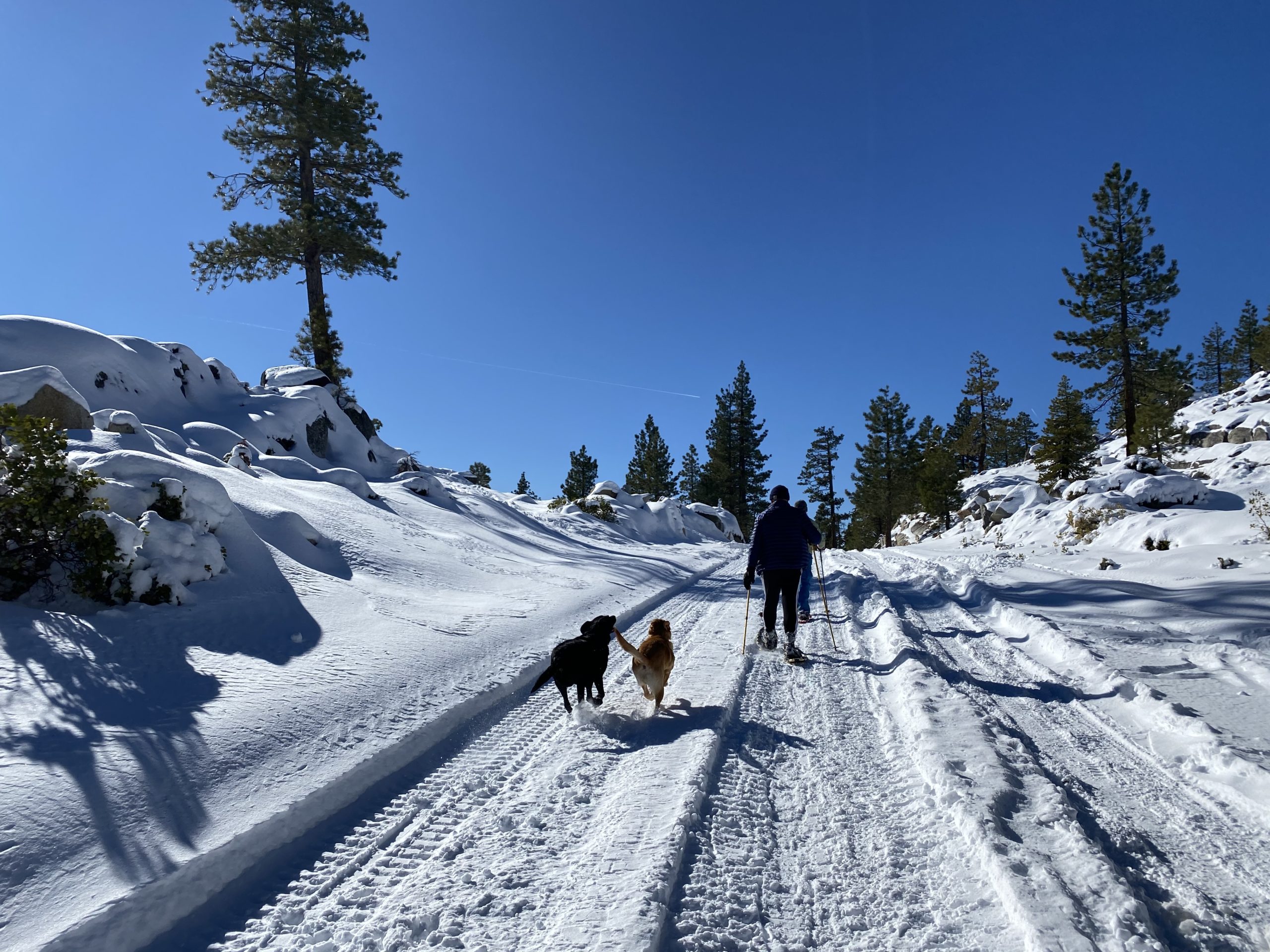 Spicer Sno Park - GoCalaveras.com