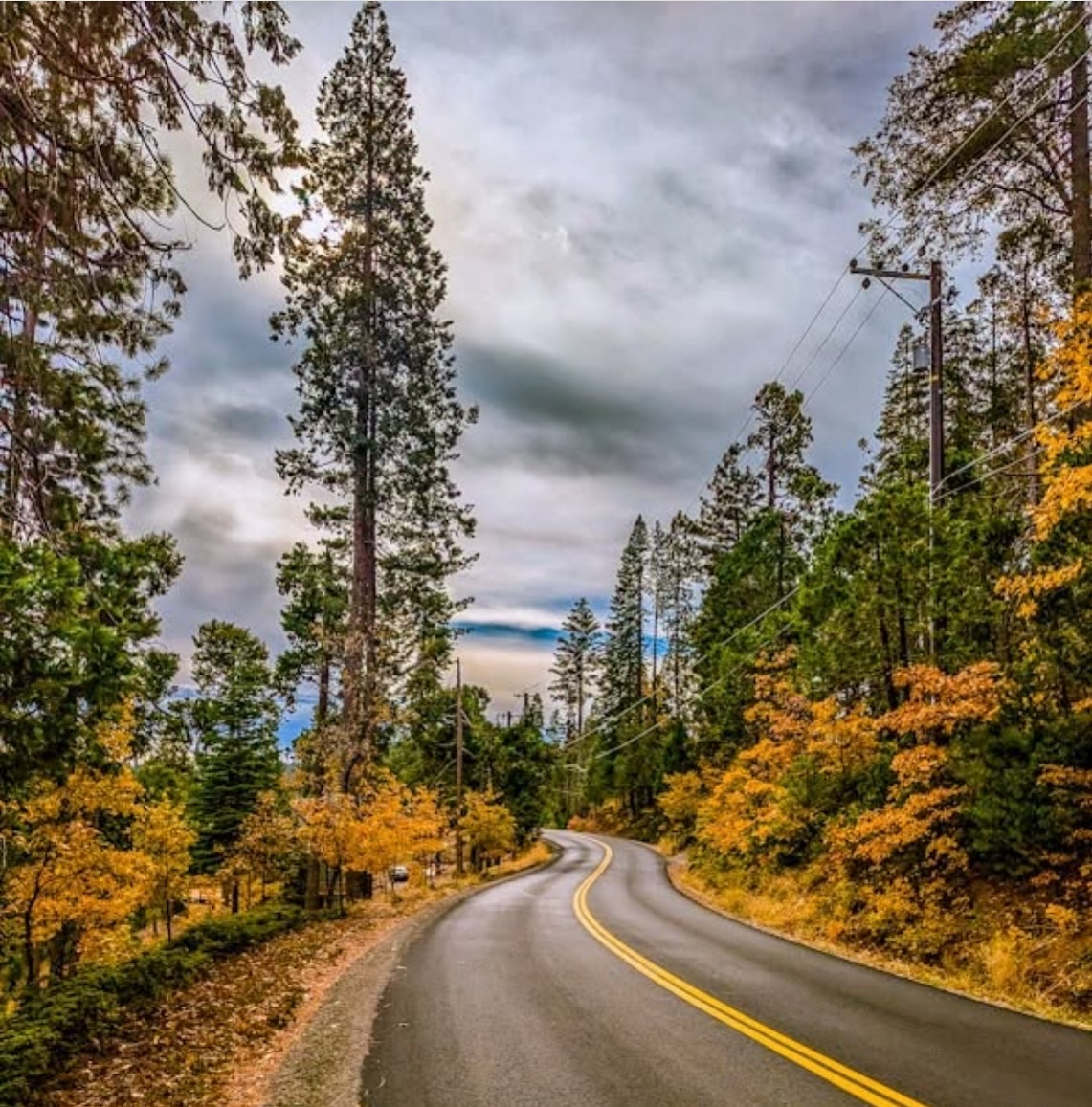 From The Bay to Bear Valley Road Trip - Highway 4 and the Ebbetts Pass ...
