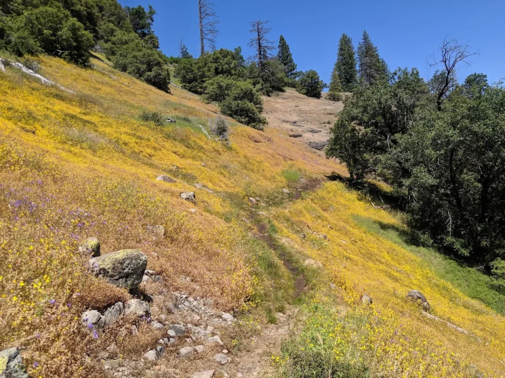 Discover 8 Hiking Trails in Calaveras County (With Elevation ...