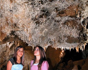 Black Chasm Cavern, National Natural Landmark - GoCalaveras.com